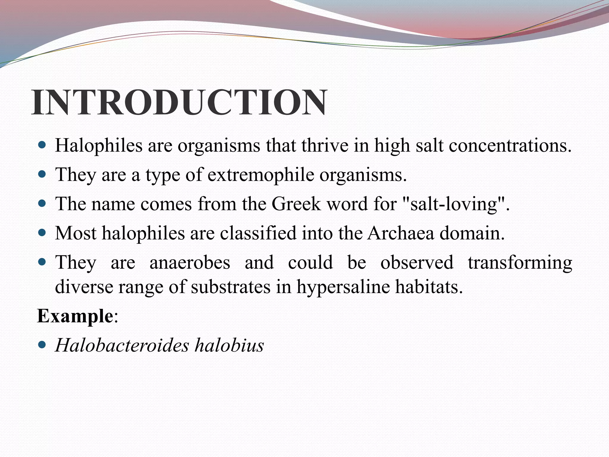 Extreme halophilic archea | PPTX