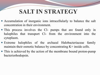 Extreme halophilic archea | PPTX