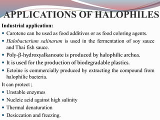 Extreme halophilic archea | PPTX