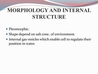 Extreme halophilic archea | PPTX | Chemistry | Science