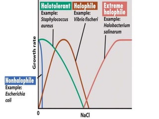 Halophiles Diagram