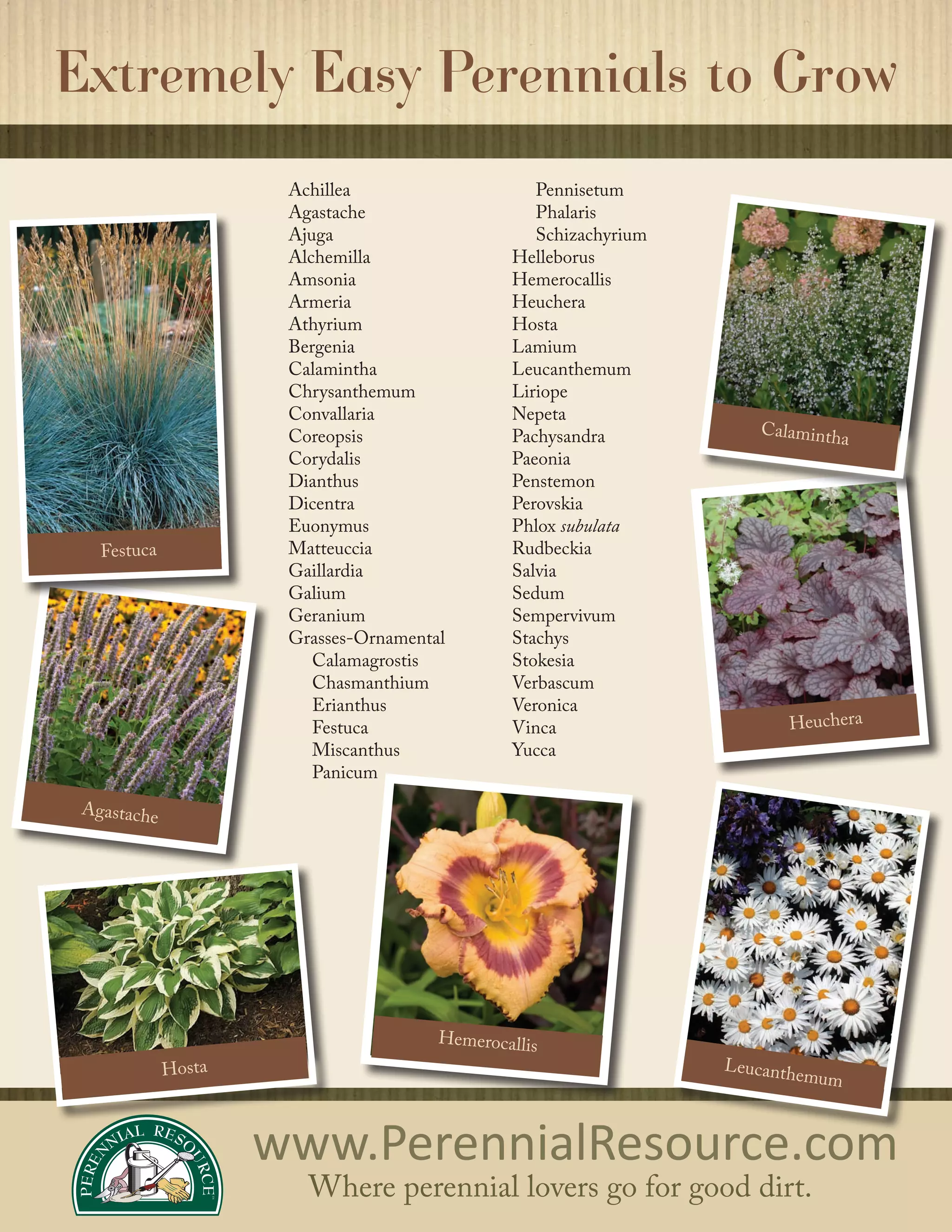 Extremely easy-to-grow | PDF | Gardening | Home & Garden