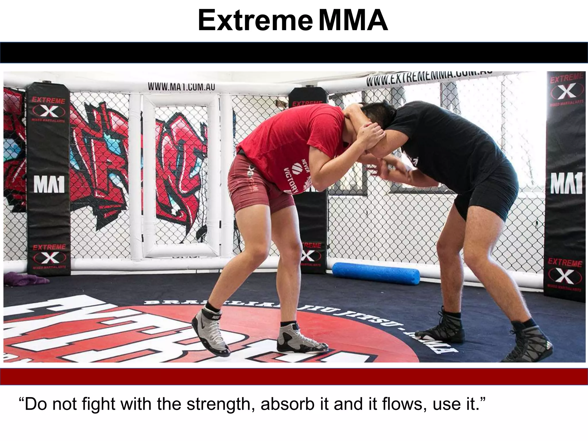 Extreme MMA | PPT