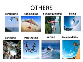 Extreme sports | PPT
