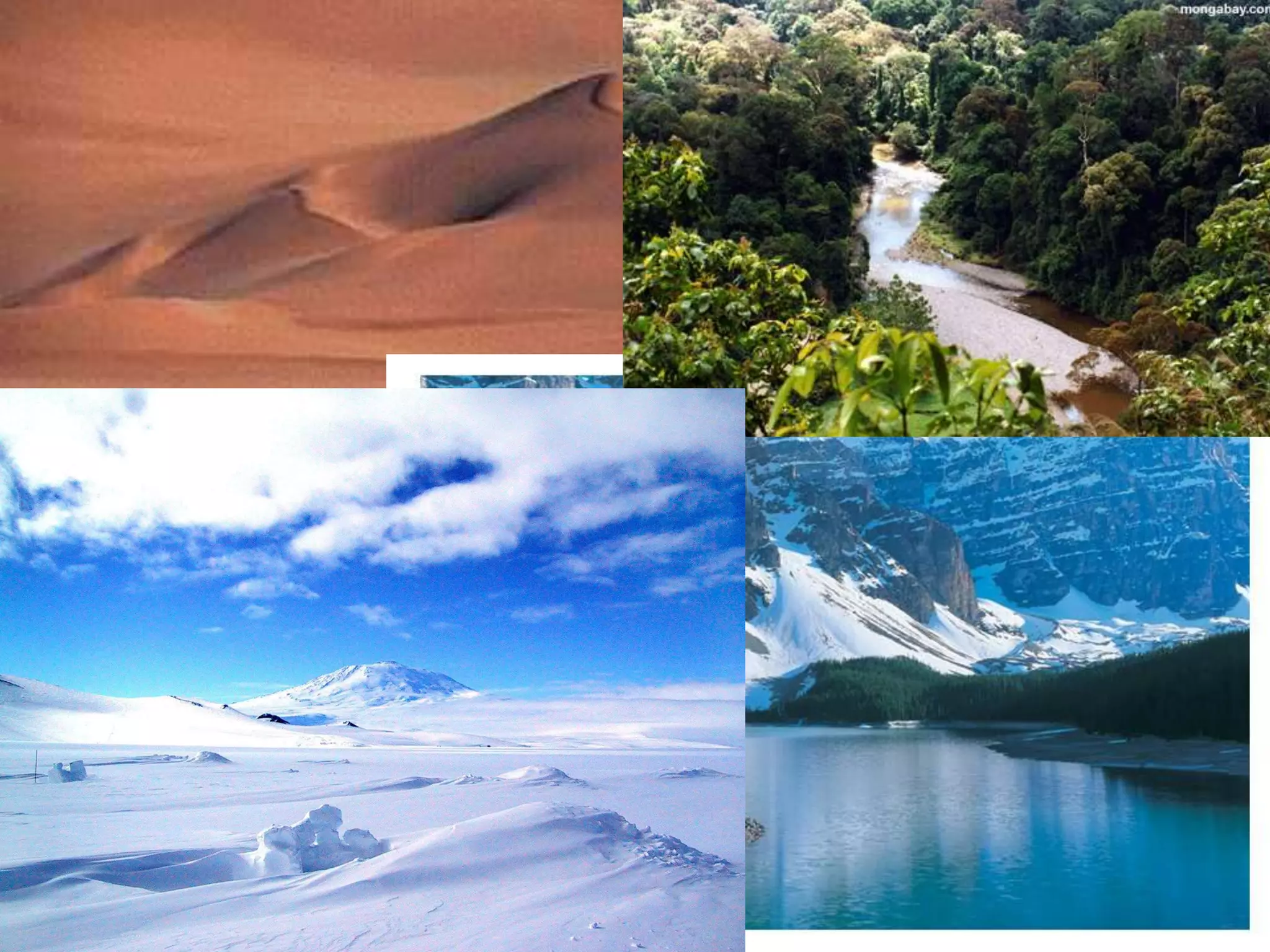 Extreme tourism | PPTX