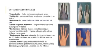 Extremidades SUPERIORES Y INFERIORES original-1.pptx