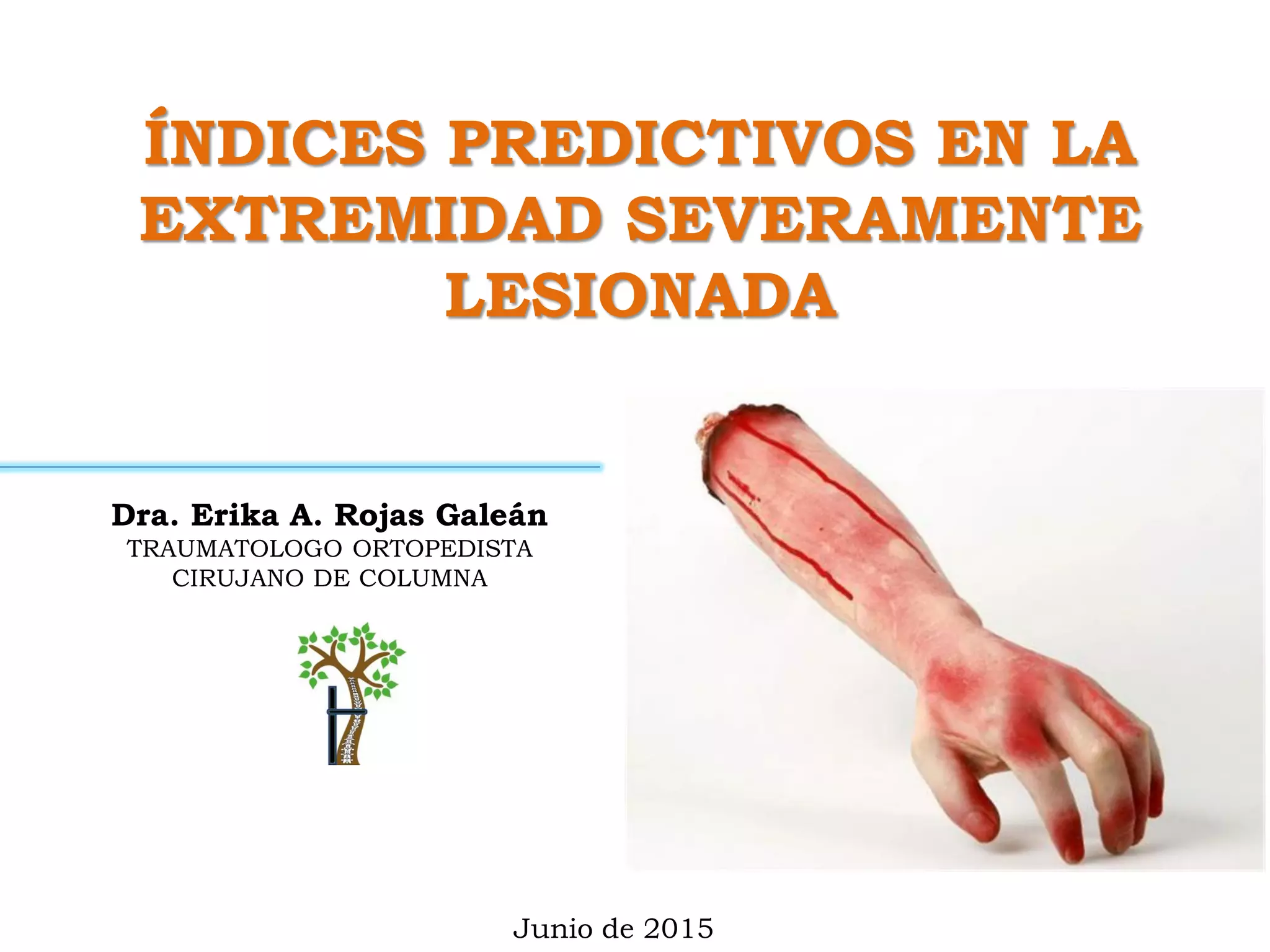 Extremidad severamente lesionada - INDICES PREDICTIVOS | PPT