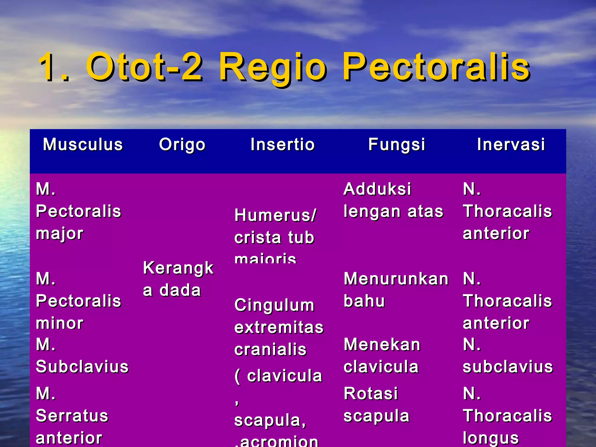 Extremitas cranialis 1 2 | PPT