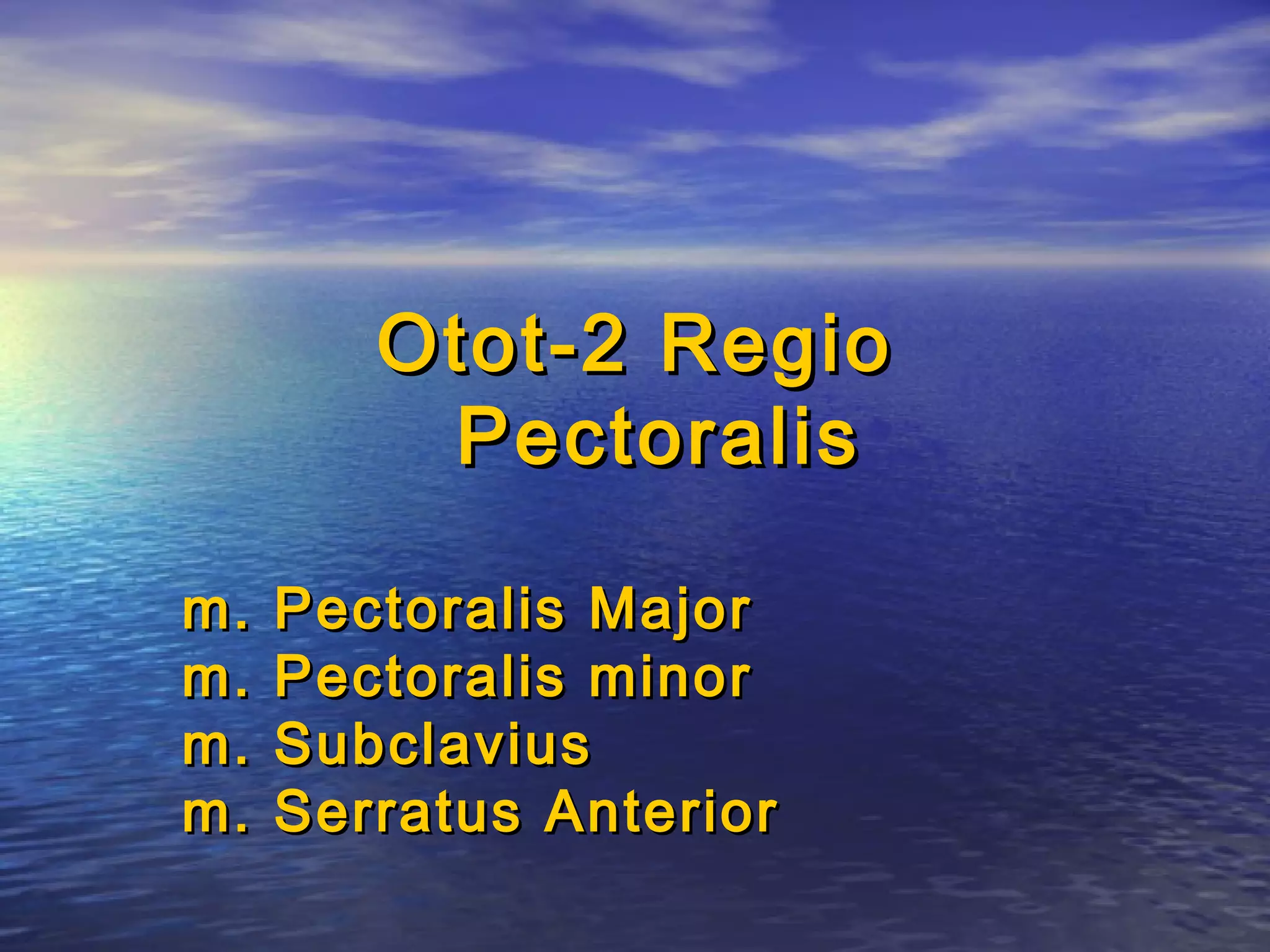 Extremitas cranialis 1 2 | PPT