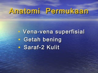 Extremitas cranialis 1 2 | PPT