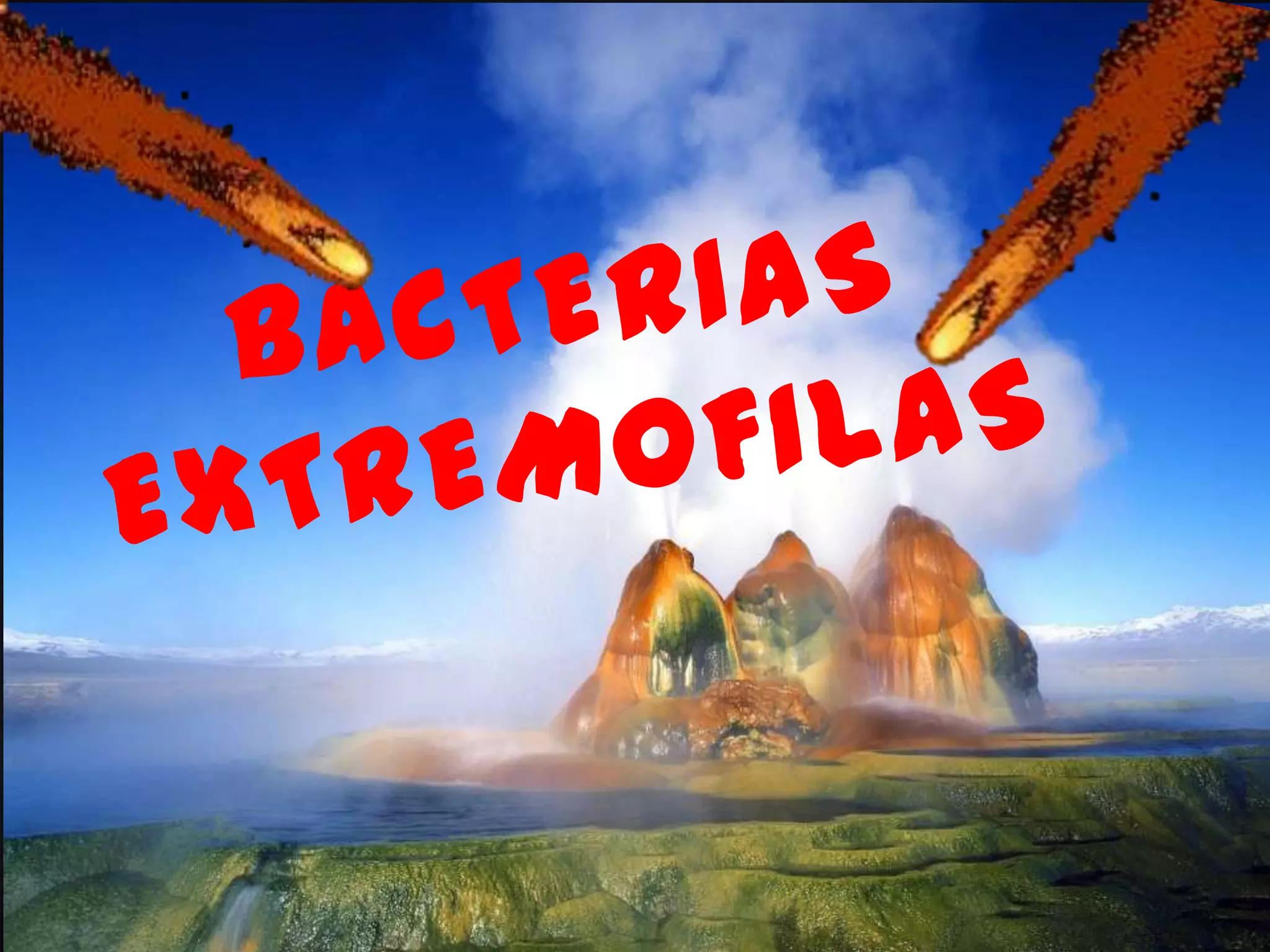 Extremofilos | PPTX