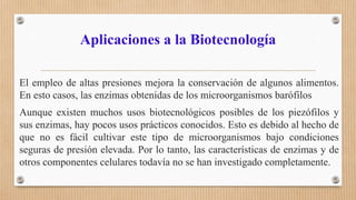 Extremofilos Grupo 6.pptx