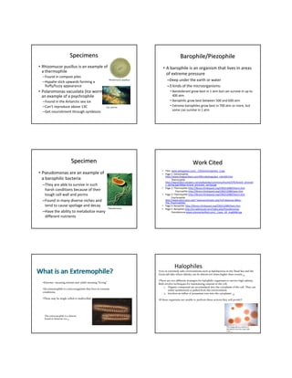 Extremophiles | PDF