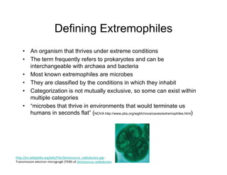 Extremophiles | PDF