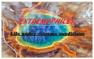 Extremophiles | PPT