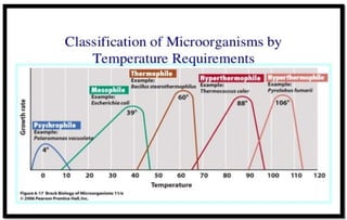 Extremophiles Diagram