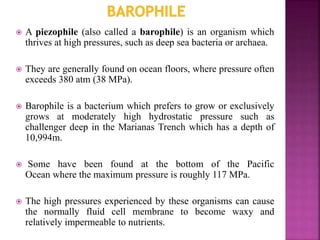 Extremophiles | PPTX