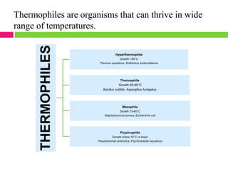 PHYSIOLOGY OF ORGANISMS LIVING IN EXTREME ENVIRONMENTS- THERMOPHILES | PPTX