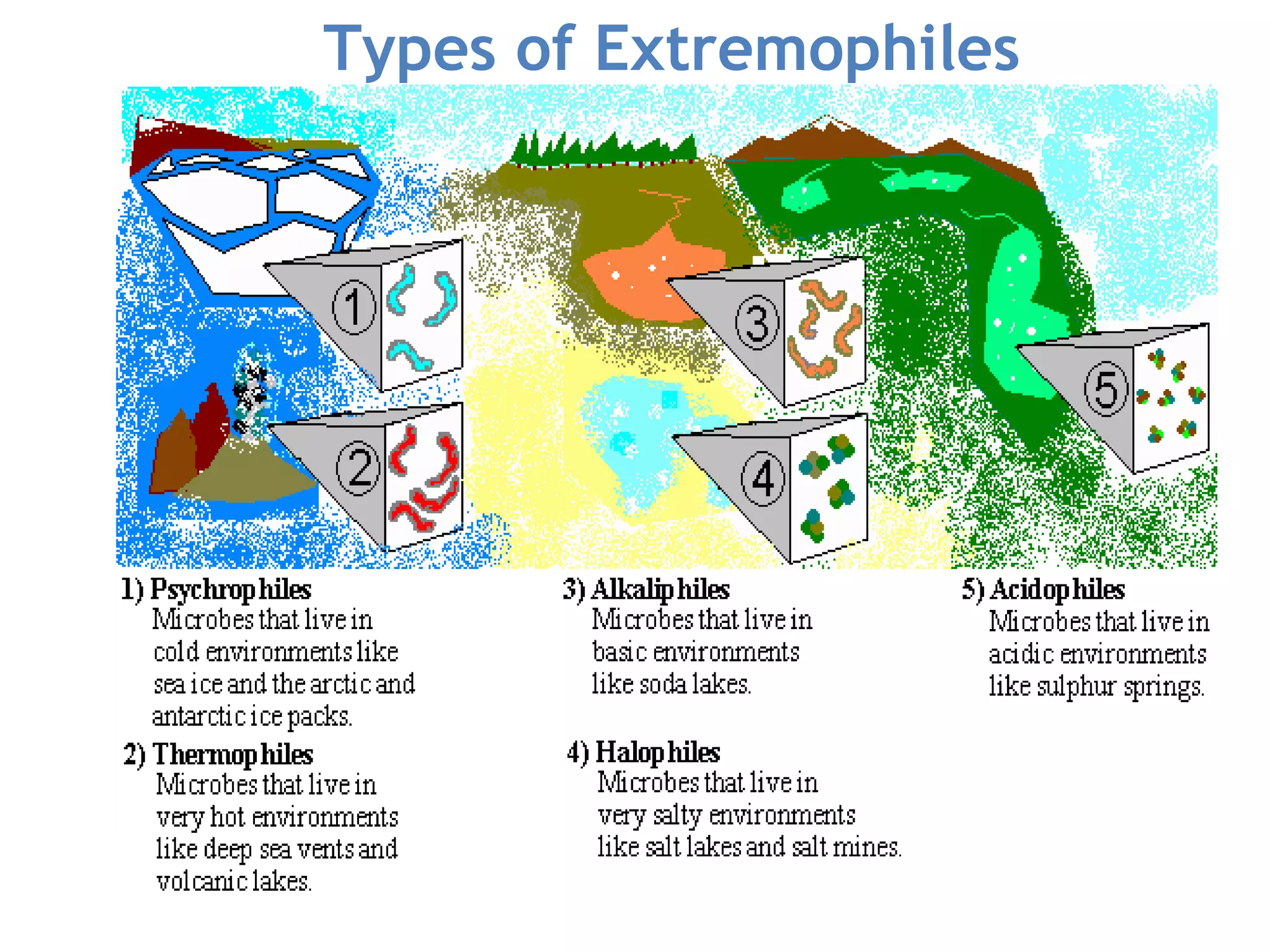 Extremophiles | PPT | Chemistry | Science