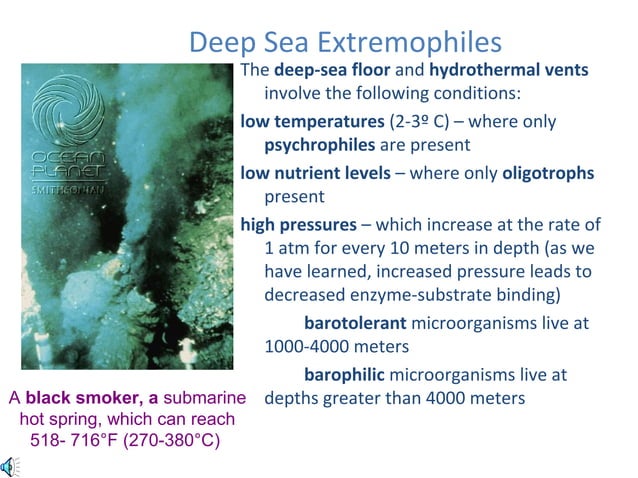 Extremophiles | PPT | Chemistry | Science