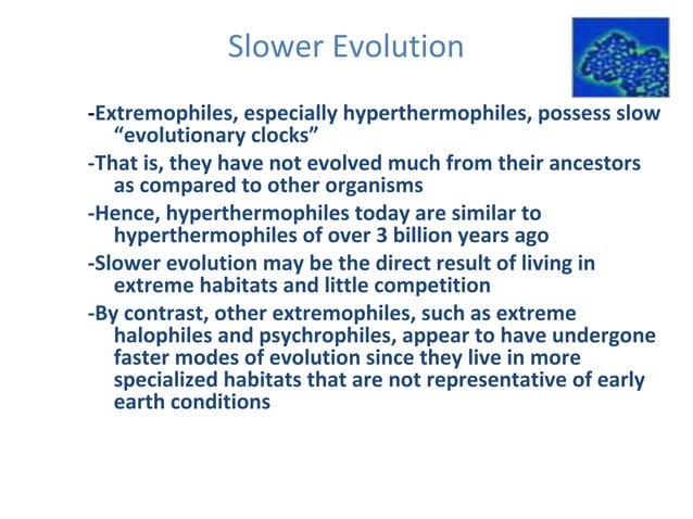 Extremophiles | PPT | Chemistry | Science