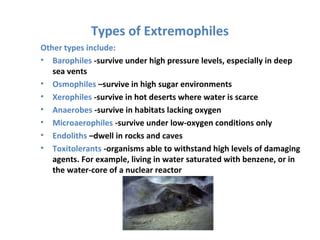 Extremophiles | PPT