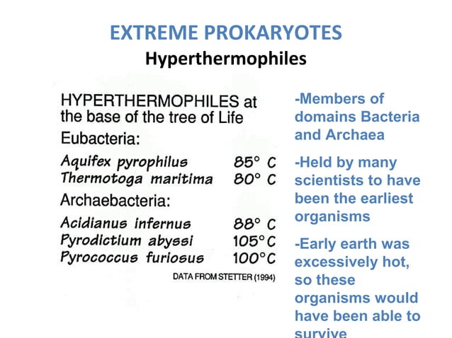 Extremophiles | PPT | Chemistry | Science