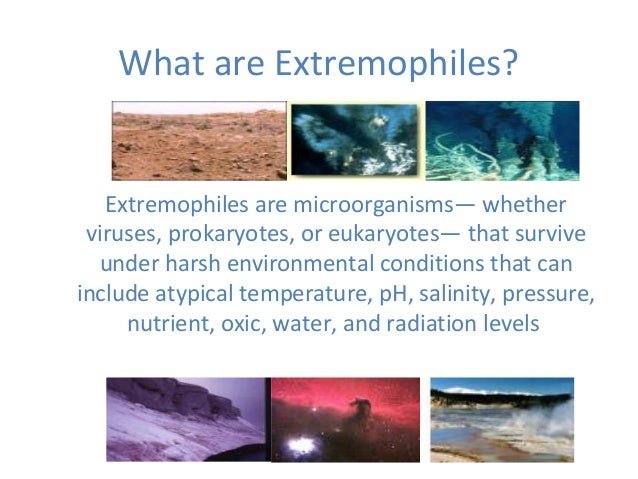 Extremophiles