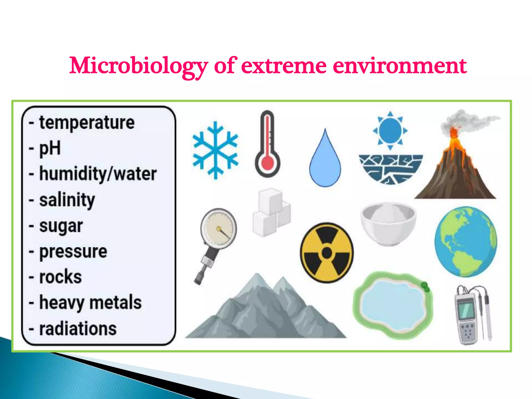 Extremophiles | PPT