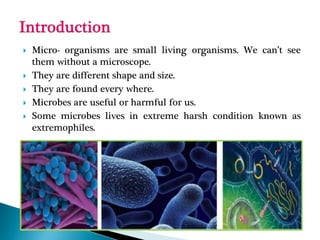 Extremophiles | PPT