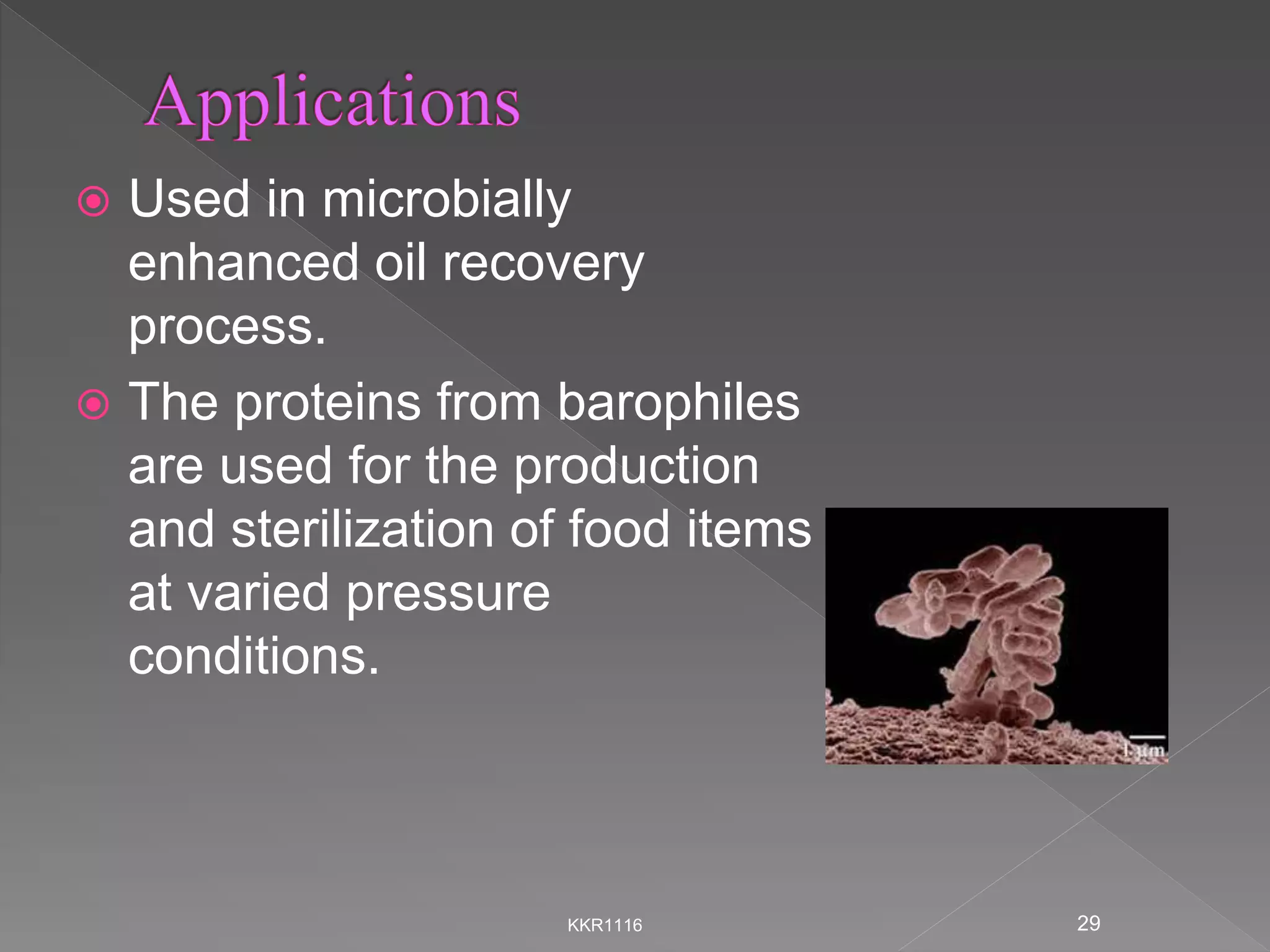 Extremophiles | PPTX