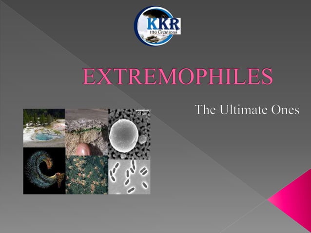 Extremophiles | PPTX | Geography | Science