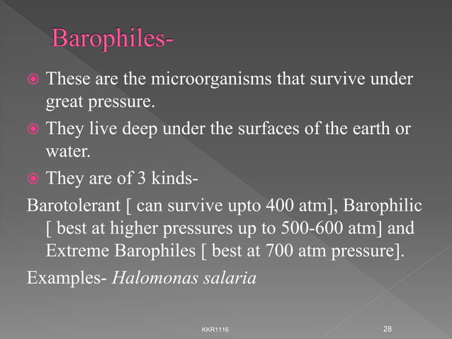Extremophiles | PPT