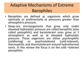 EXTREMOPHILES.pdf