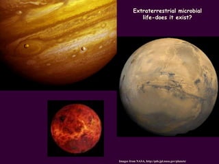 Extremophiles .ppt