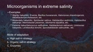 Types of Extremophiles, their adaptation mechanisms, and importance. .pptx