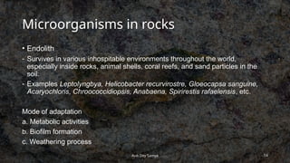 Types of Extremophiles, their adaptation mechanisms, and importance. .pptx