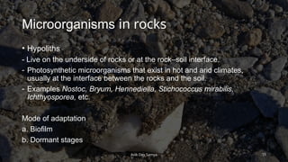 Types of Extremophiles, their adaptation mechanisms, and importance. .pptx