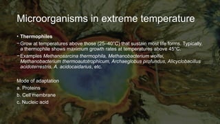 Types of Extremophiles, their adaptation mechanisms, and importance. .pptx
