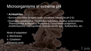 Types of Extremophiles, their adaptation mechanisms, and importance. .pptx