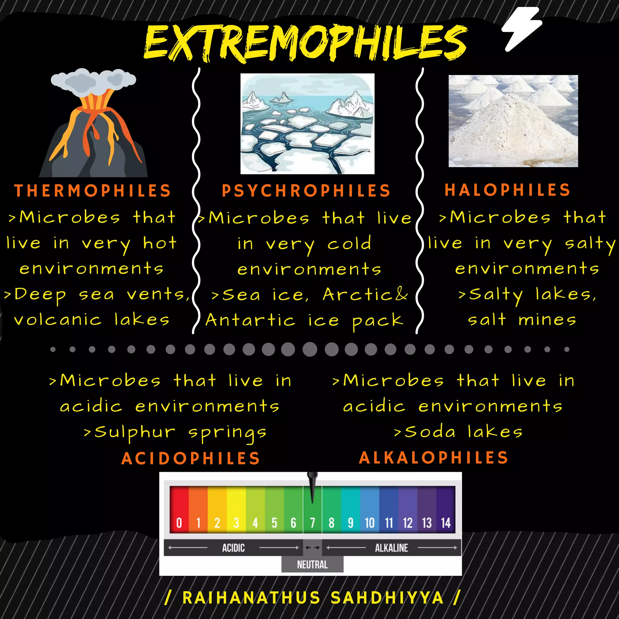 Extremophiles - infograph | PPT