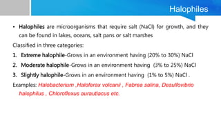 EXTREMOPHILES AND THEIR SIGNIFICANCE.pptx