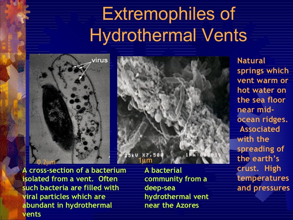 Extremophiles imp. 1