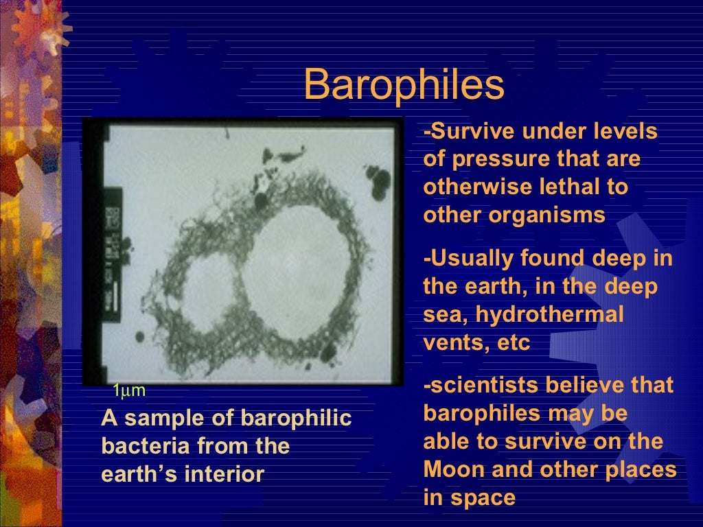 Extremophiles imp. 1