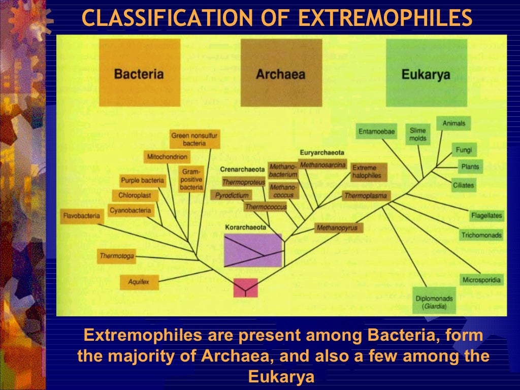 Extremophiles imp. 1