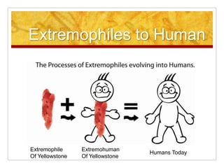 Extremophiles Speech | PPT