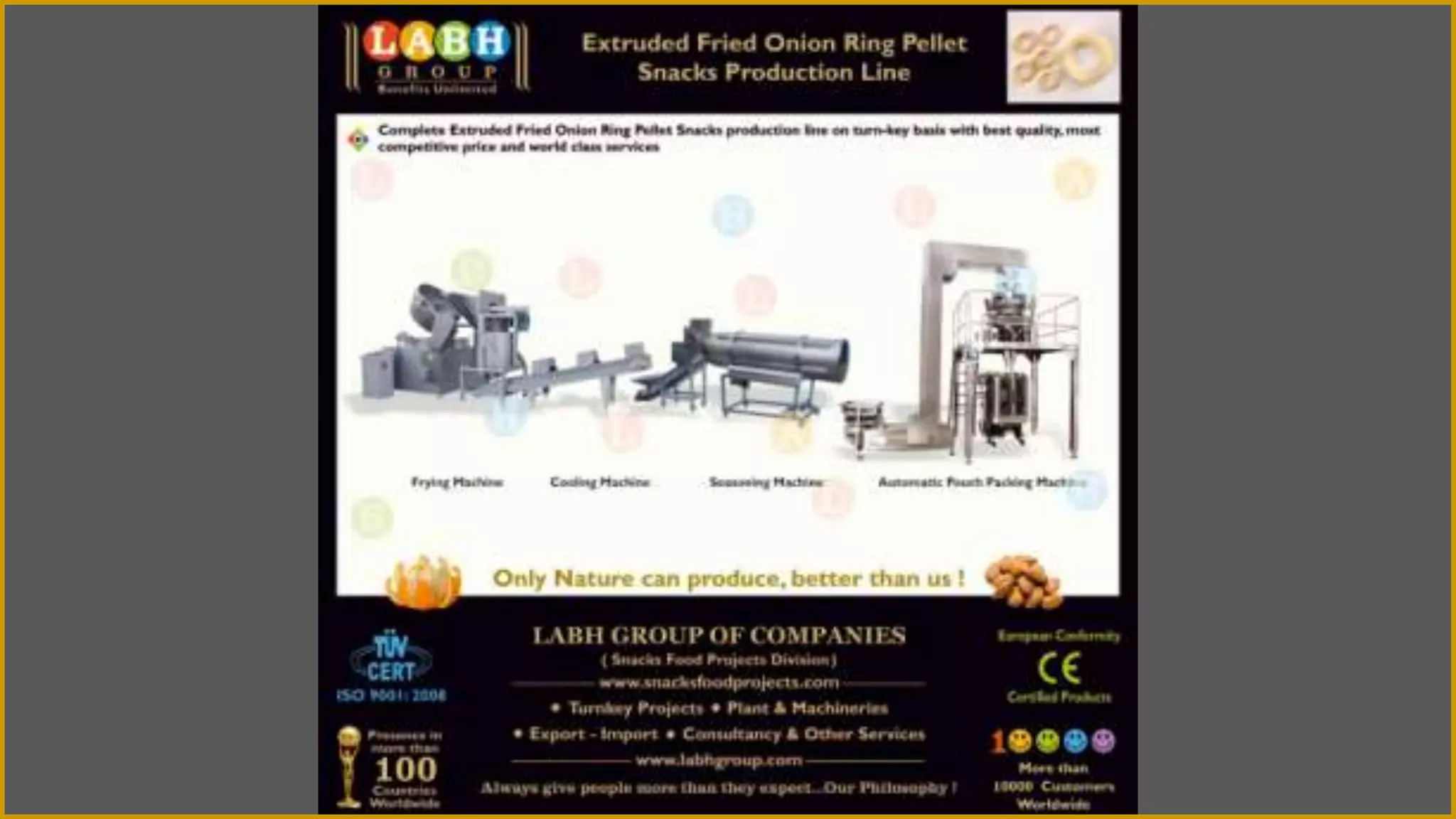 Extruded fried onion ring pellet snacks production line | PPT