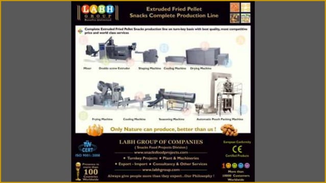 Extruded fried pellet snacks complete production line | PPT