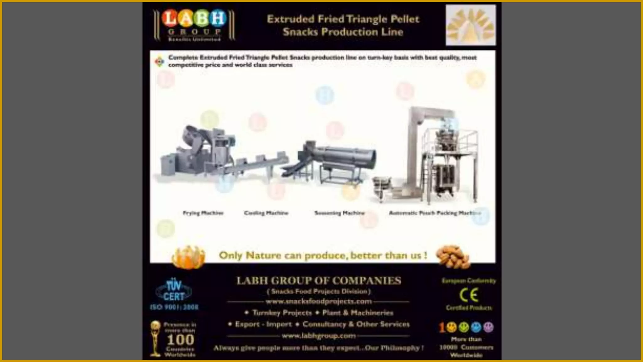 Extruded fried triangle pellet snacks production line | PPT