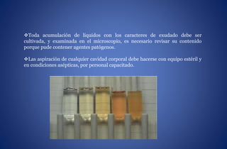 EXUDADO Y TRASUDADO.pptx
